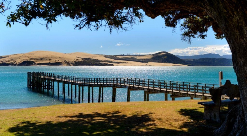 Hokianga Day Trip - Bay of Islands - Stray Travel Guide
