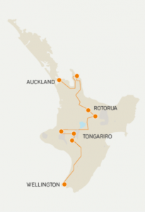 New Zealand Tours | Stray Travel